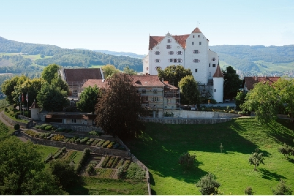 MemberPlus | Raiffeisen