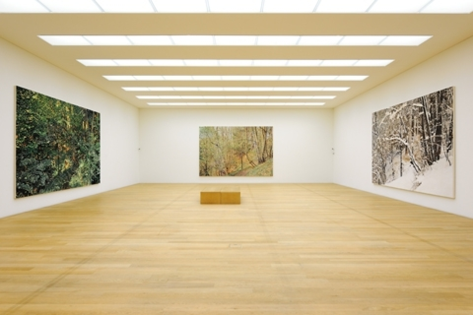 MemberPlus | Raiffeisen